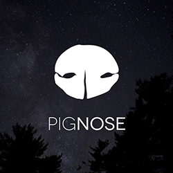 PIGNOSE Gallary